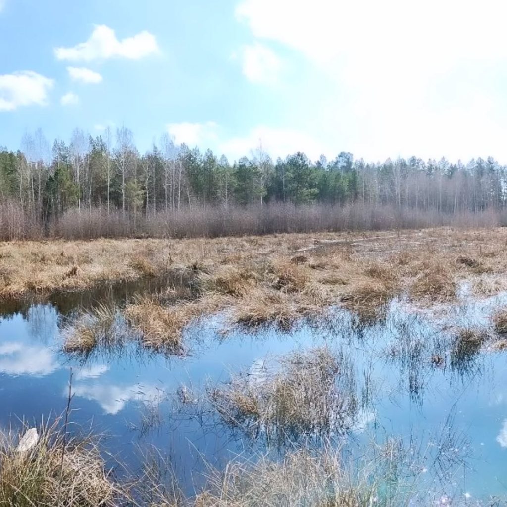 Військові РФ просунулися у Вовчанську – DeepState